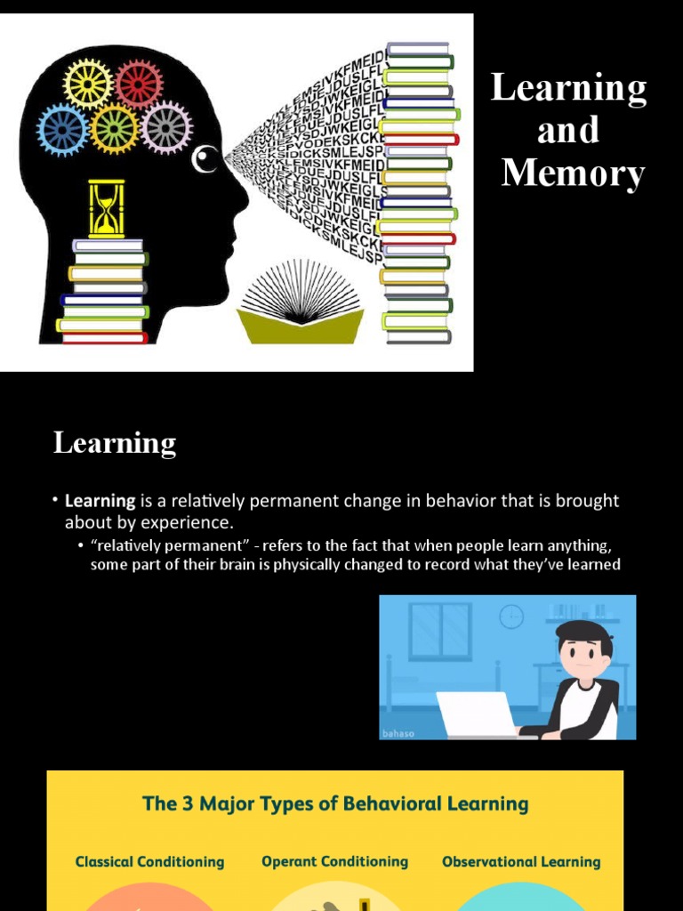 Learning and Memory | PDF | Classical Conditioning | Memory