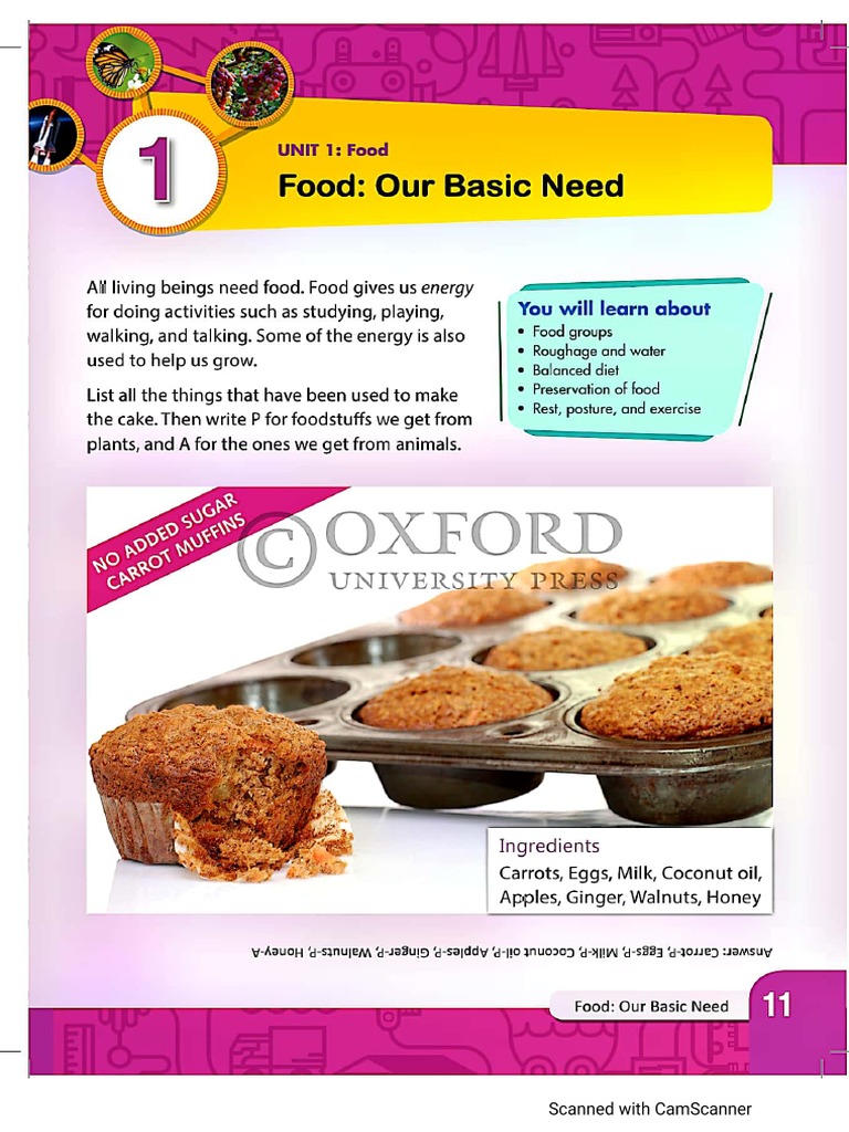 Food Our Basic Need | PDF