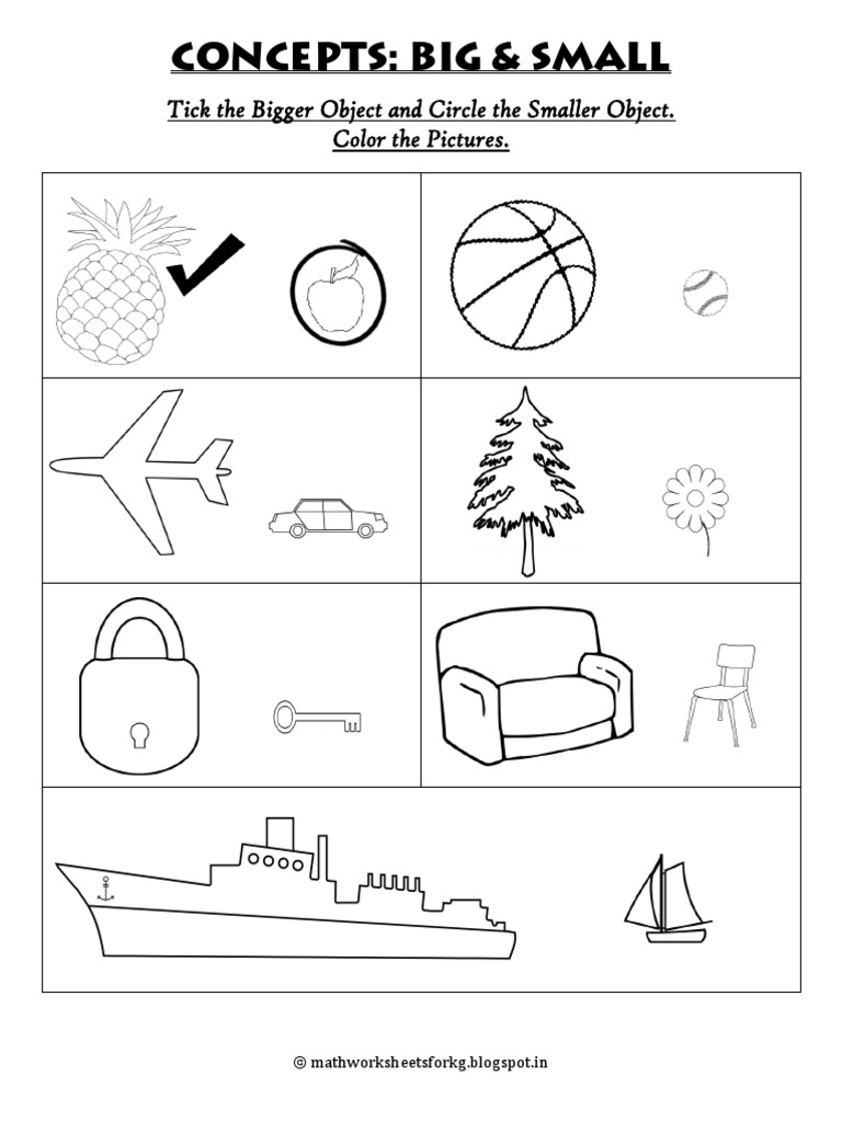 Concepts Big Small Worksheet | PDF