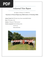 Oiml R76 PDF | PDF | Metrology | Nature