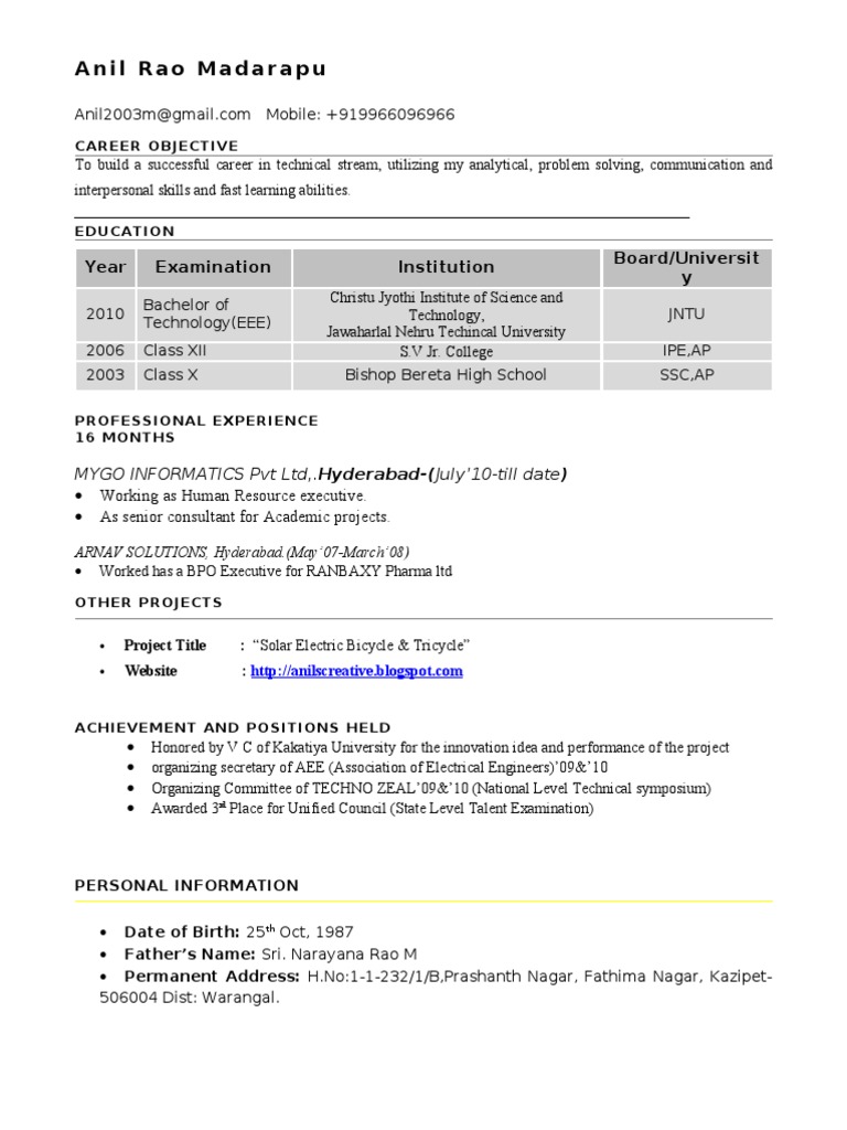 Anil Rao's Professional Profile | PDF | Career & Growth | Art