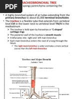 The Radiology Assistant - Lung Segments and Bronchi | PDF | Lung ...