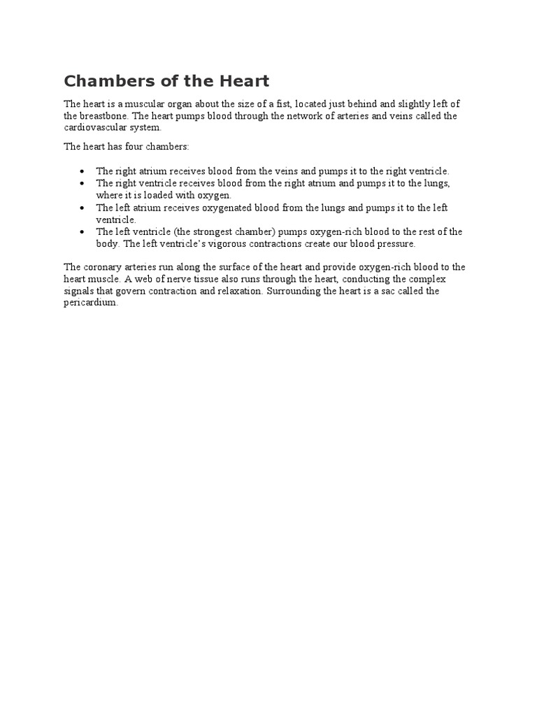 Heart Chambers Explained | PDF | Travel | Religion & Spirituality