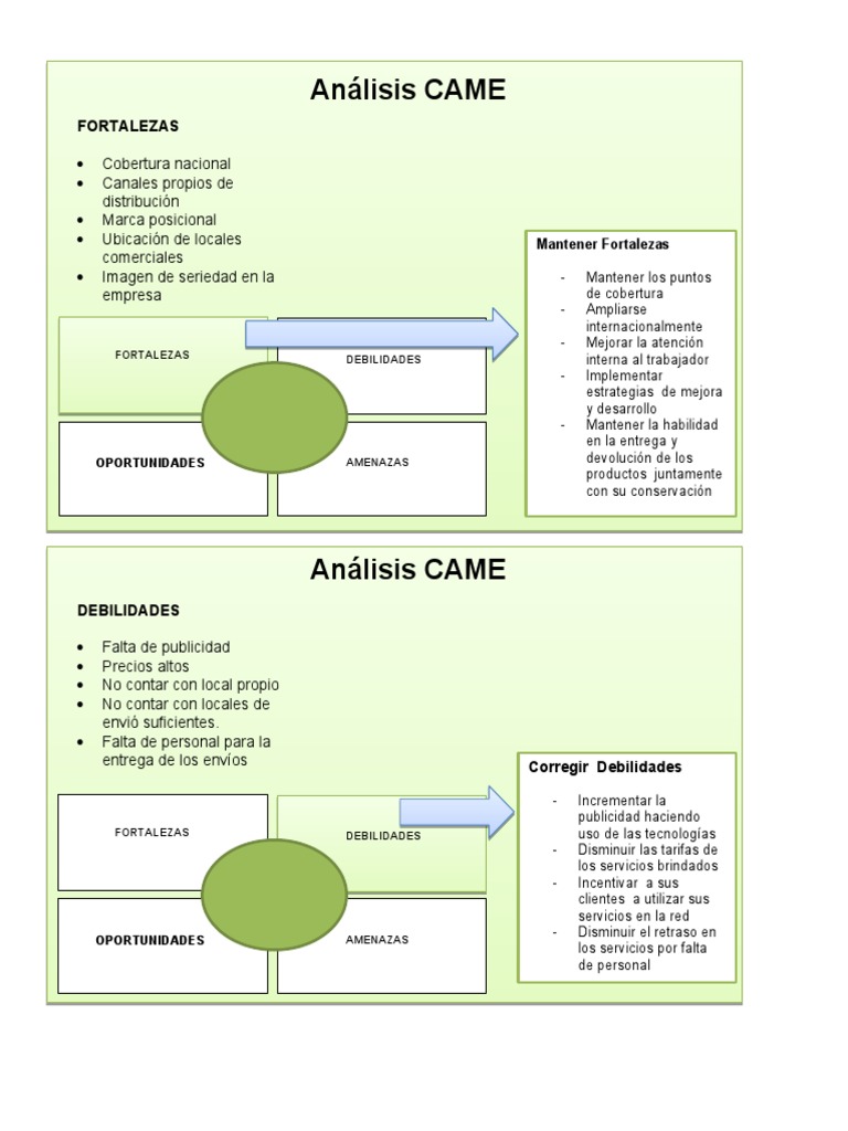 Análisis CAME: Fortalezas y Debilidades | PDF | Business | Economias