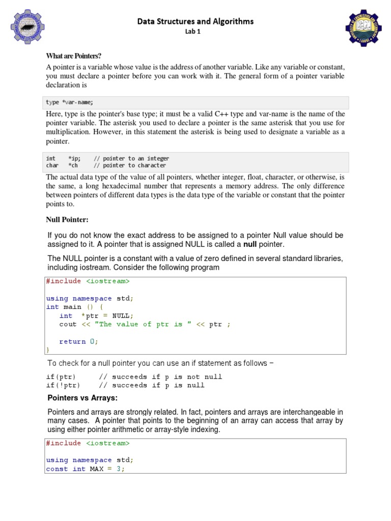 Dsa Lab1 Pdf Pointer Computer Programming Variable Computer Science 