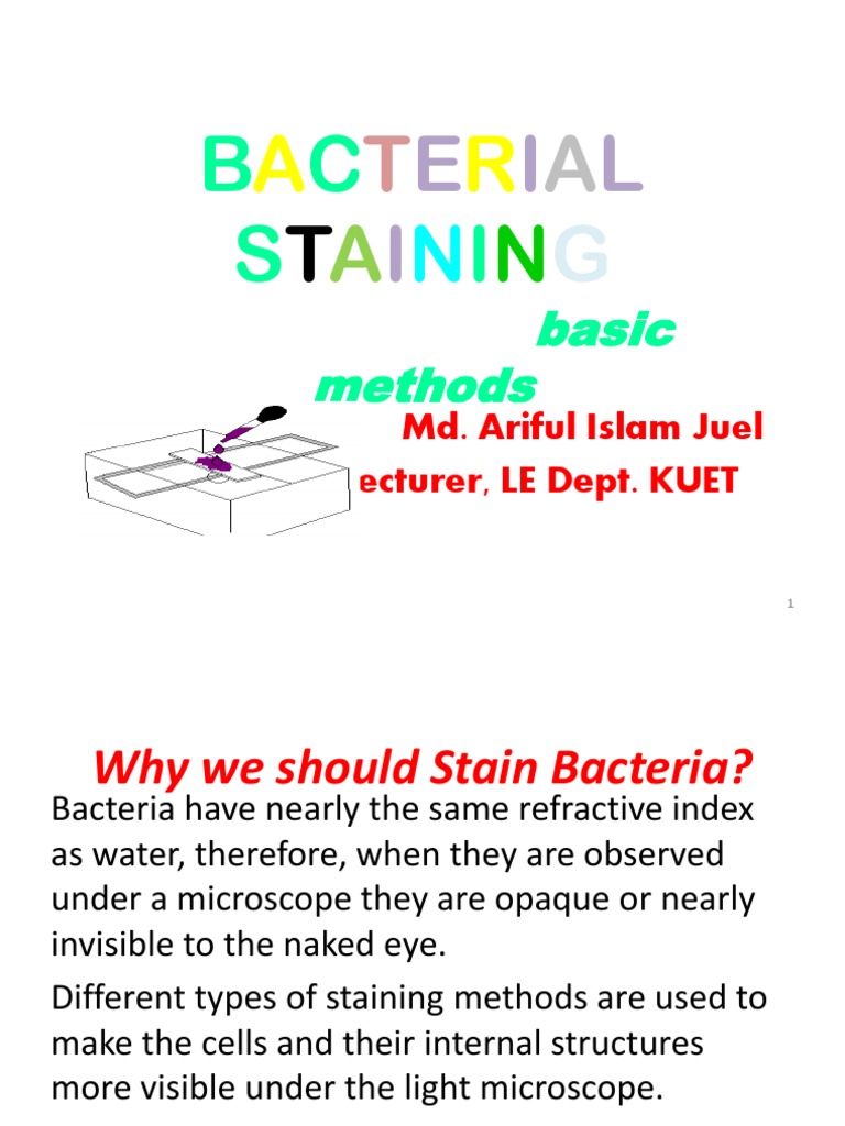 Different Staing Method | PDF | Staining | Gram Positive Bacteria