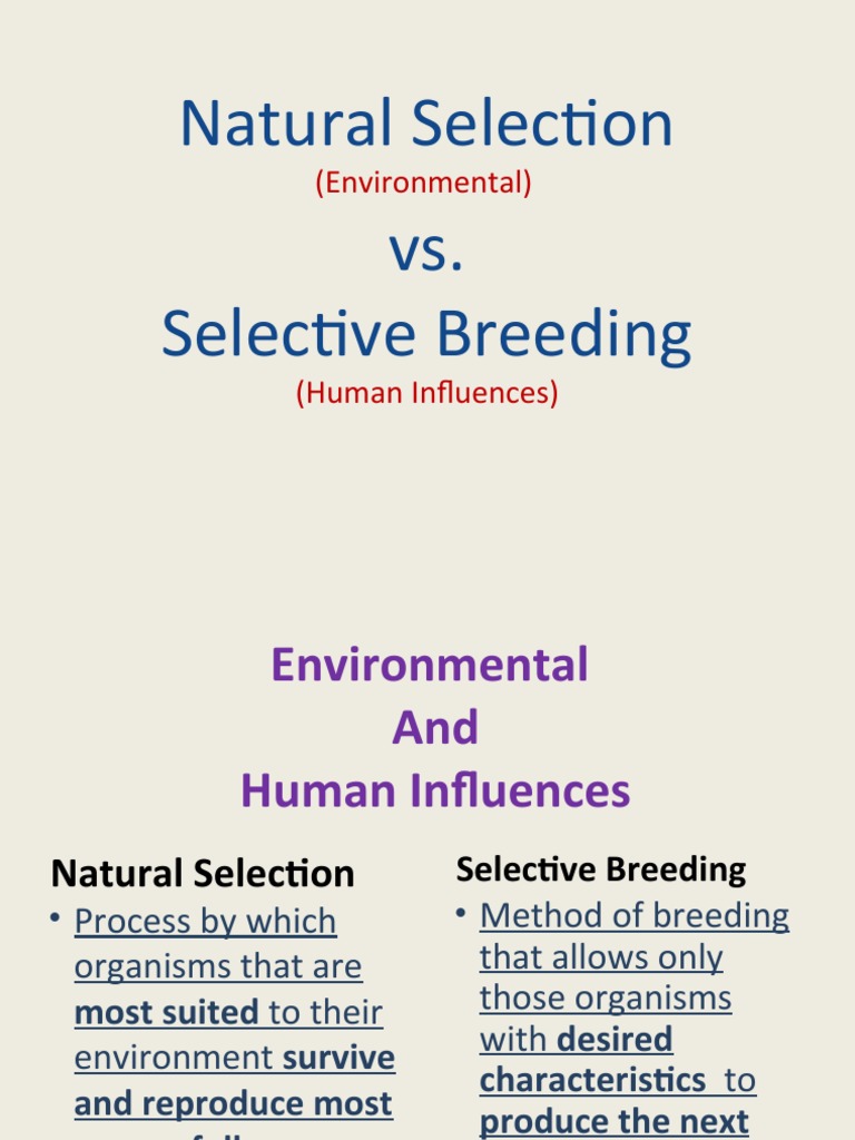 Natural Selection vs. Selective Breeding: (Environmental) | PDF ...