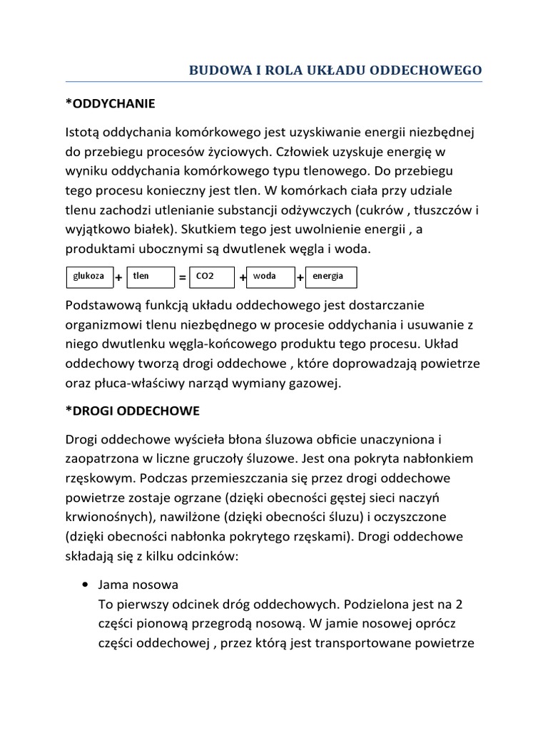 Budowa I Rola Układu Oddechowego | PDF