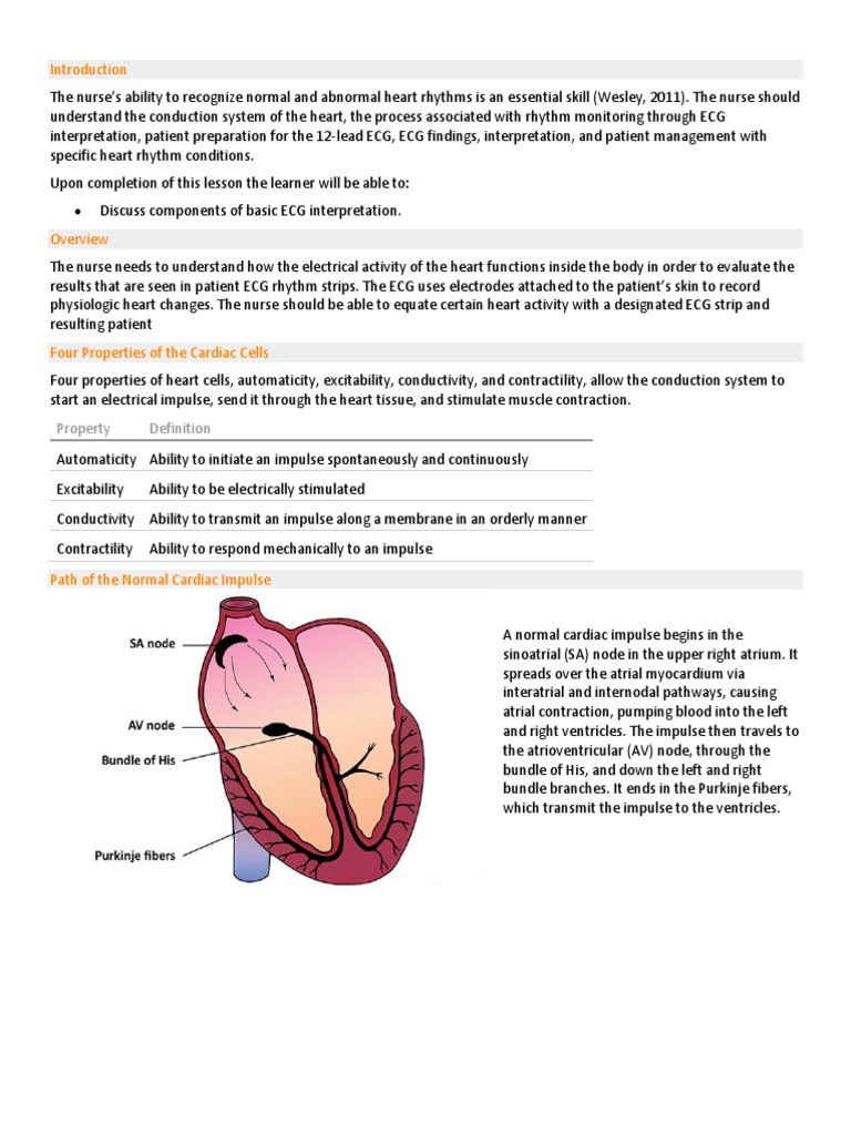 EKG/ECG Study Guide | Download Free PDF | Electrocardiography | Heart