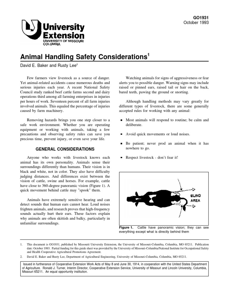 Animal Handling Safety Considerations: October 1993 | PDF | Rabies ...