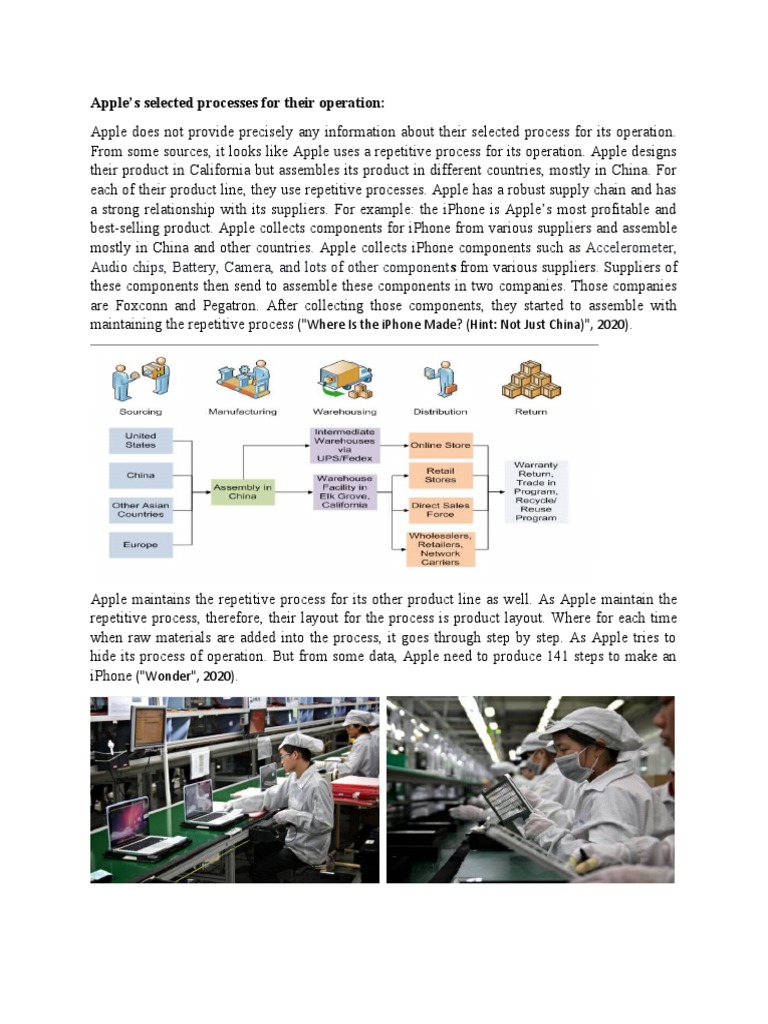 Apple's Selected Processes For Their Operation | PDF