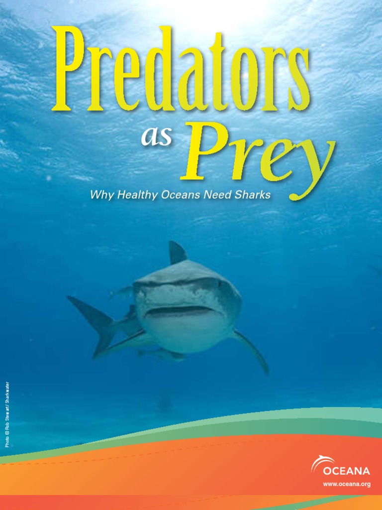 Predators As Prey FINAL FINAL | PDF | Predation | Sharks