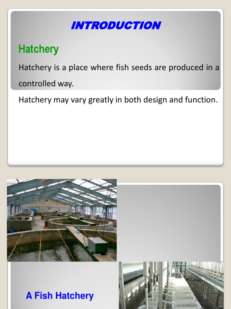 Broodstock and Hatchery Management Chapter-1-Presentation1 | PDF | Fish ...