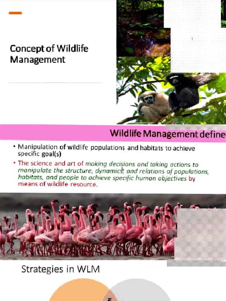 Principles of Wildlife Management | PDF | Wildlife | Habitat