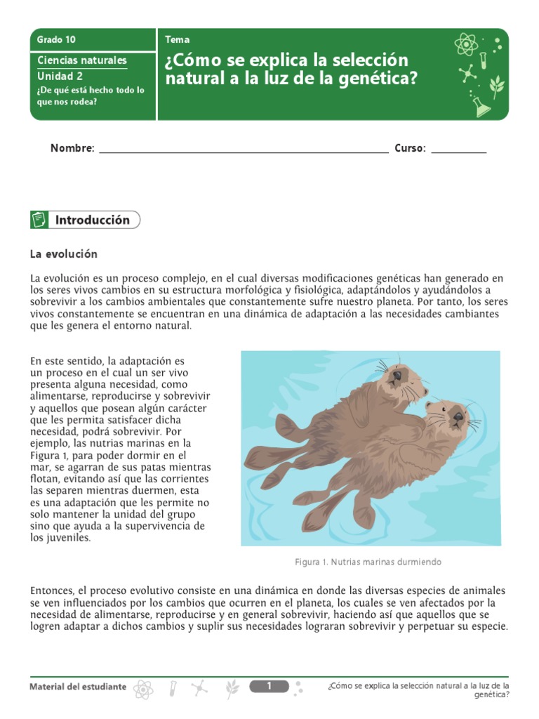 Taller 1 Biologia La Evolucion | PDF | Evolución | Mutación