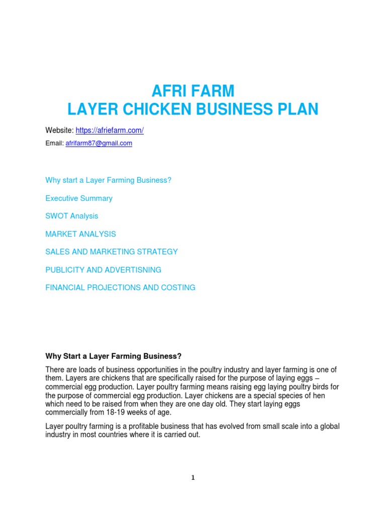 Layer Business Plan | PDF | Poultry Farming | Chicken