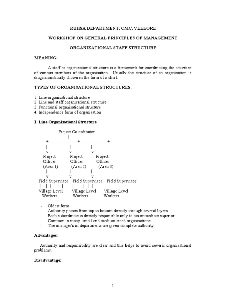 Staff Structure | PDF | Organizational Structure | Policy
