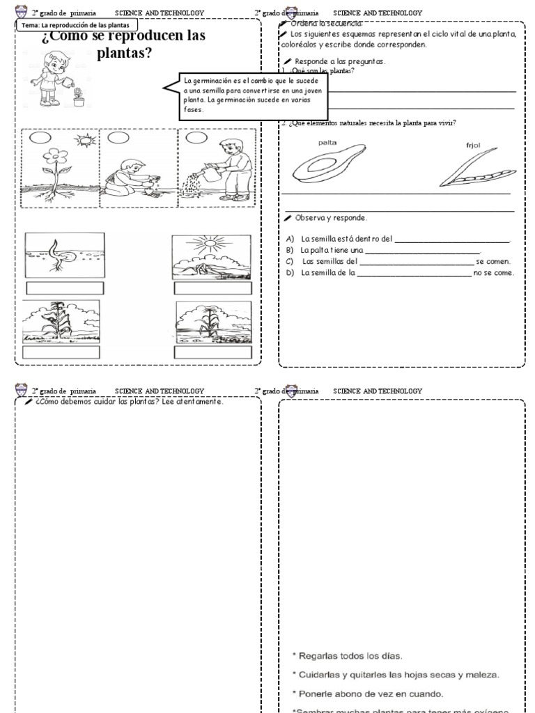 Ficha Ciencia - La Reproducción de Las Plantas | PDF | Plantas | Organismos