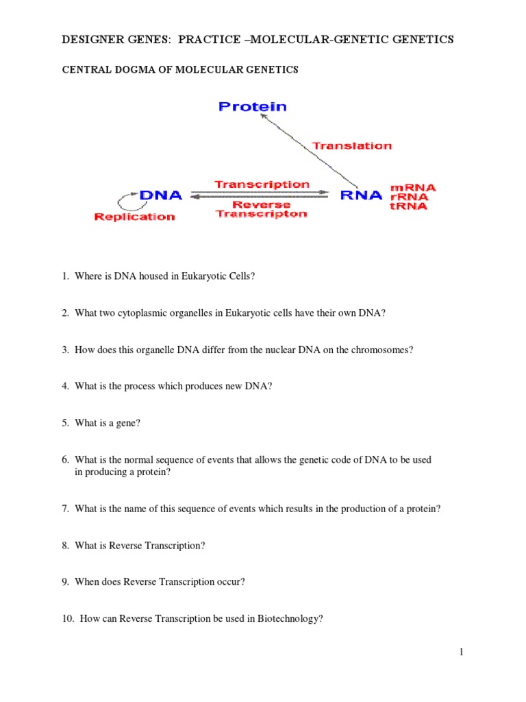 Designer Genes: Practice - Molecular-Genetic Genetics | PDF | Rna ...