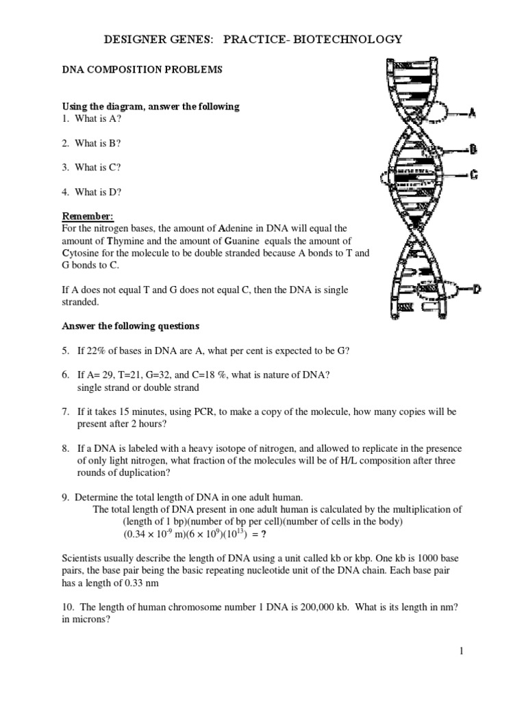 Designer Genes: Practice-Biotechnology: Dna Composition Problems | PDF ...