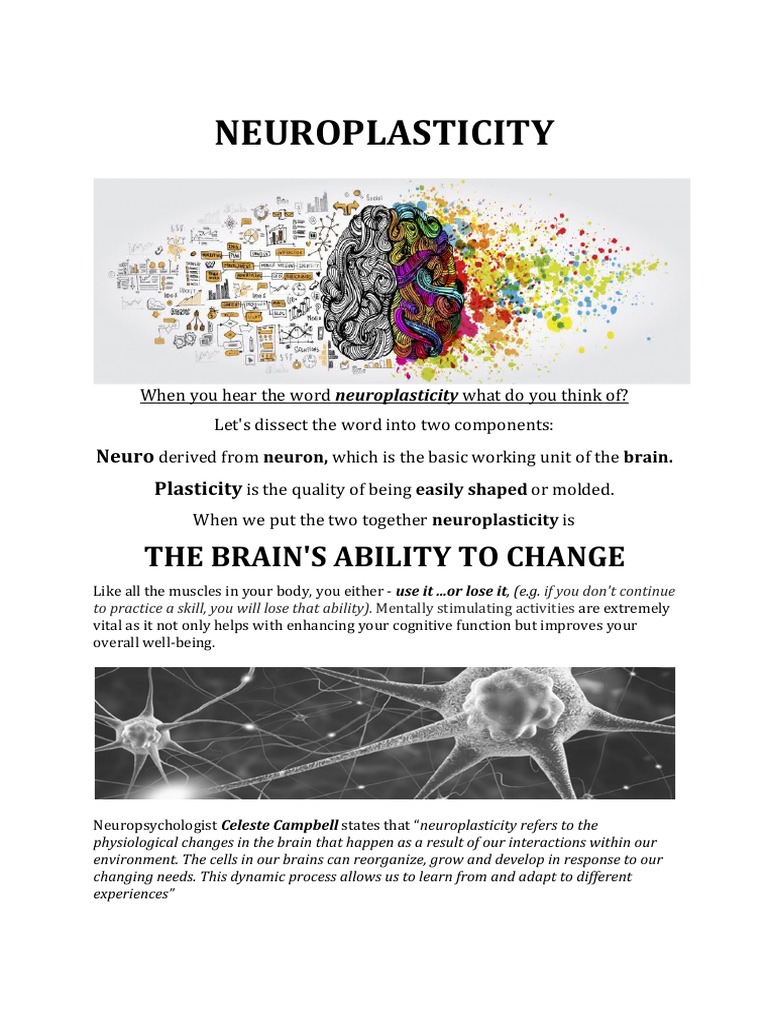 Neuroplasticity Blog - 09142020 | PDF | Neuroplasticity | Neuron