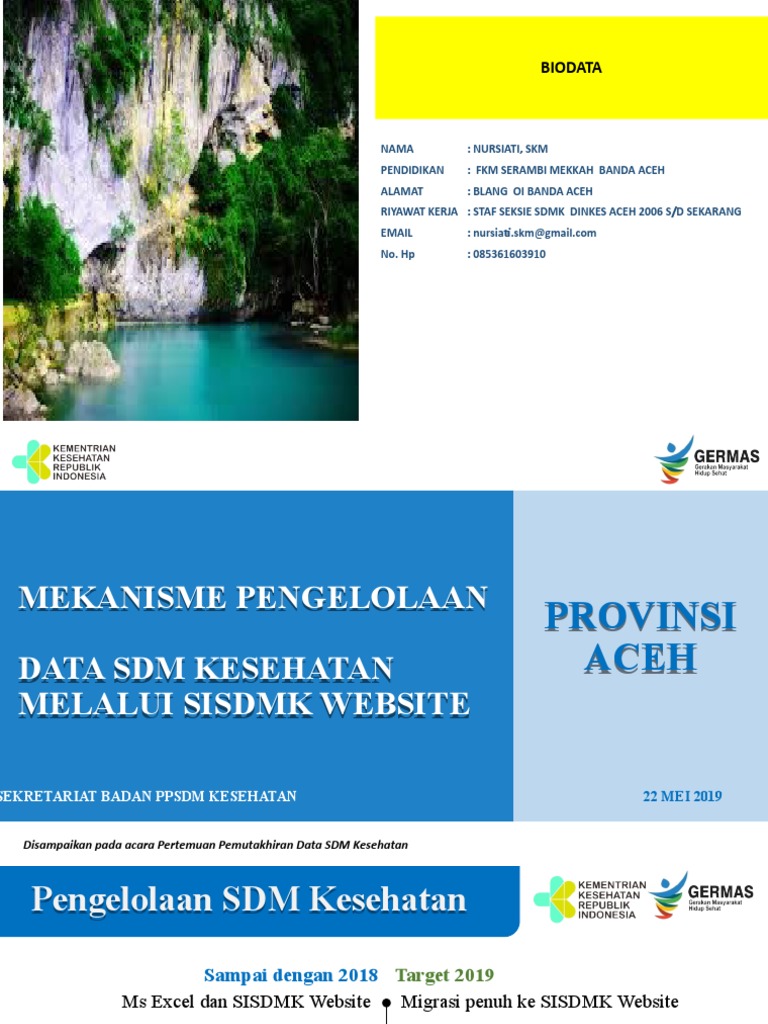 Mekanisme Pengelolaan Data SDM Kesehatan Pada SISDMK Website | PDF