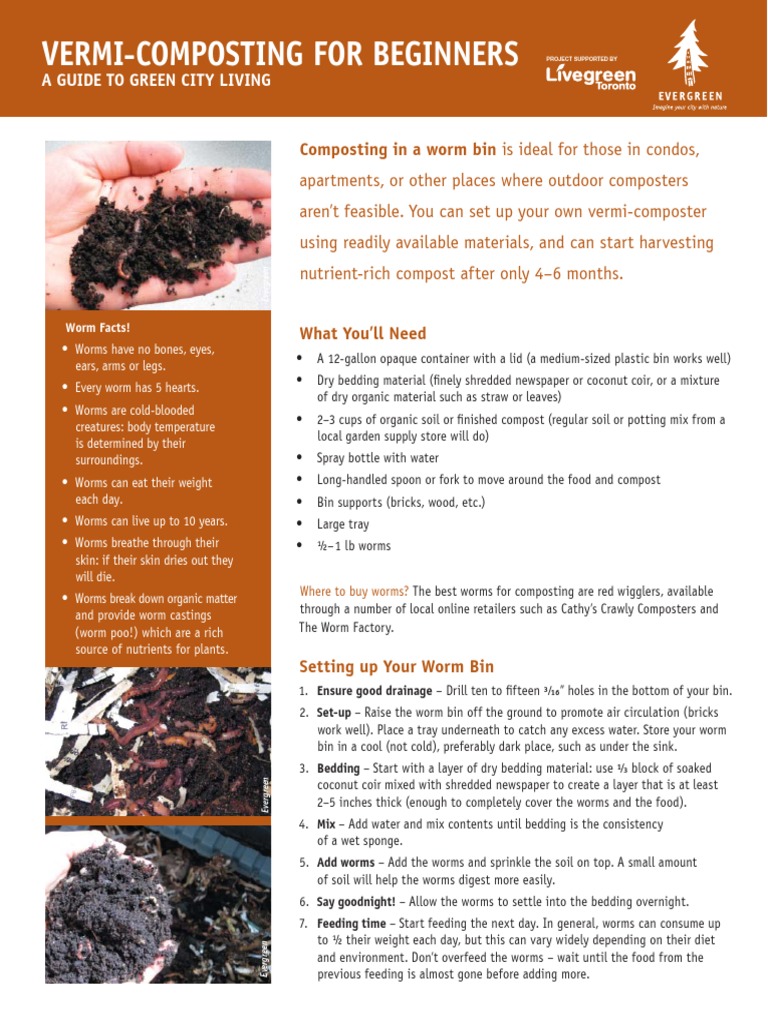 Beginner's Guide to Vermi-Composting | PDF | Compost | Agriculture