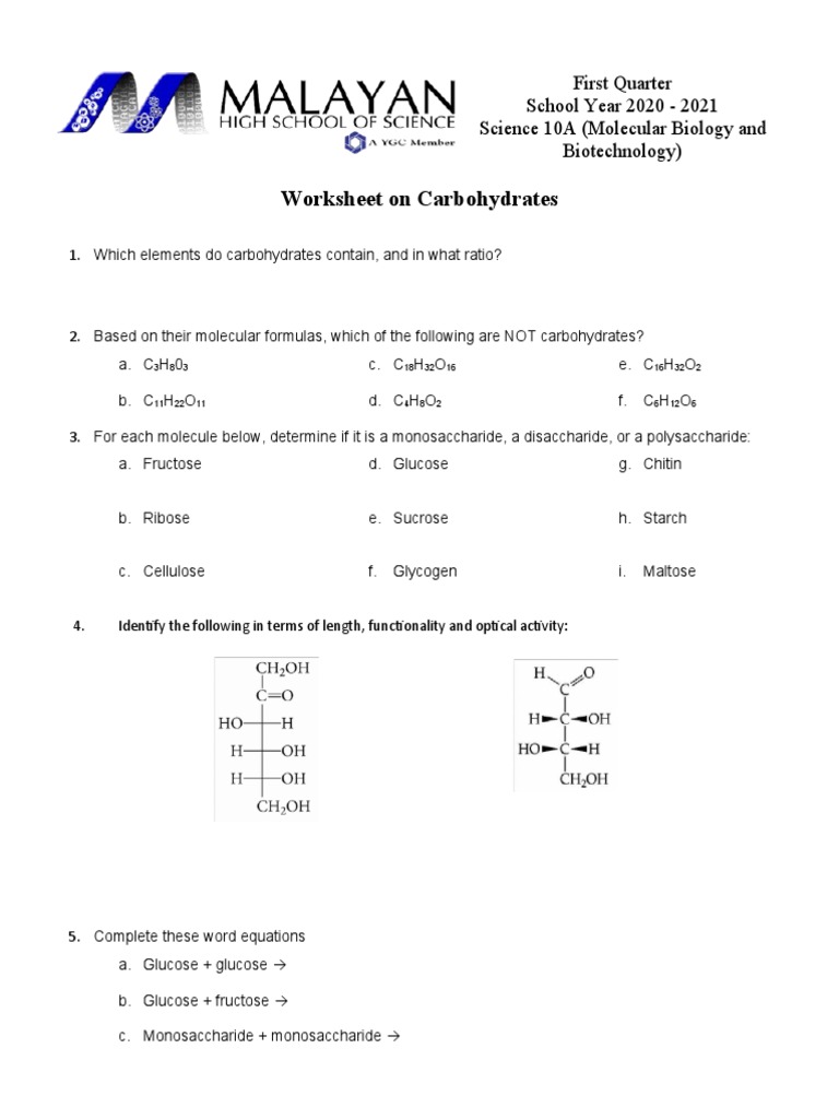 Worksheet On Carbohydrates | PDF