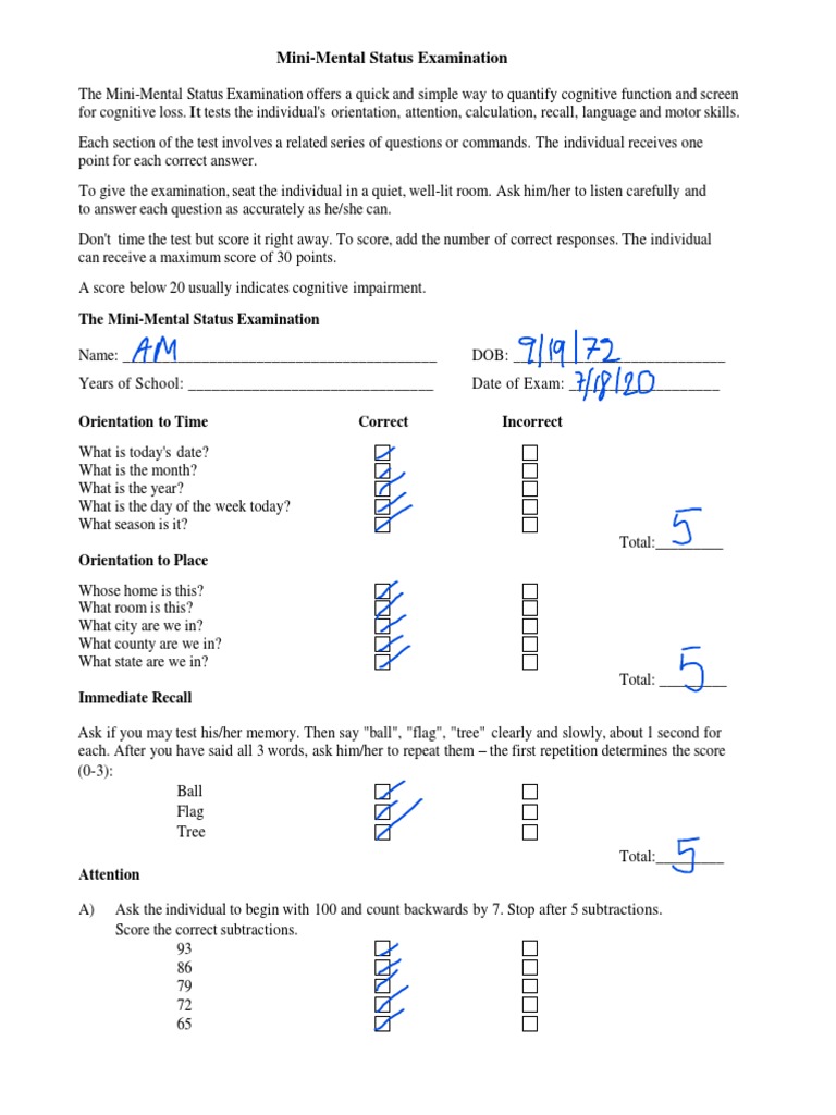 Mini-Mental Status Examination - CGA | PDF | Mental Processes ...