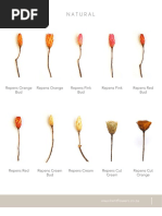 Treasury of Flower Designs | PDF