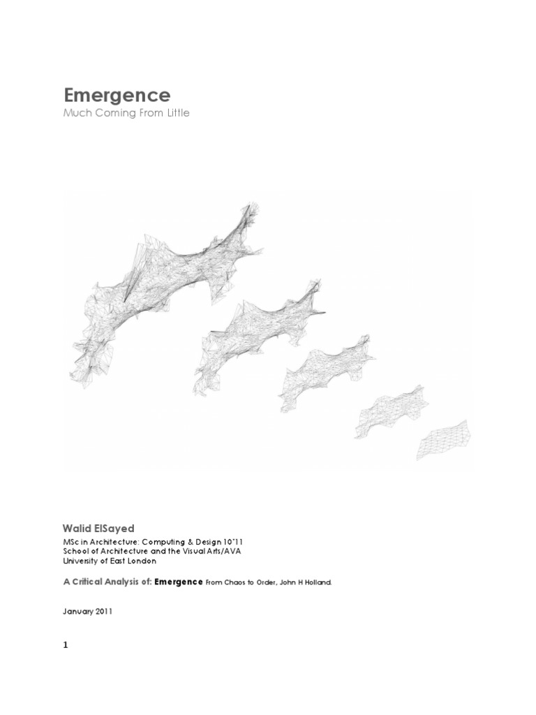Emergence (A Critical Analysis Of: Emergence From Chaos To Order, John ...
