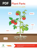 List of Dimensionless Number | PDF | Fluid Dynamics | Fluid Mechanics