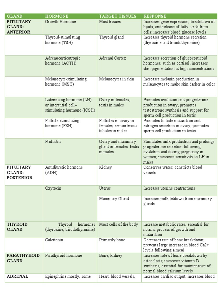 Pituitary Gland: Anterior: Gland Hormone Target Tissues Response | PDF ...