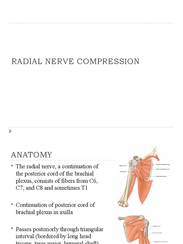 Radial Nerve Compression Ra | PDF | Elbow | Musculoskeletal System