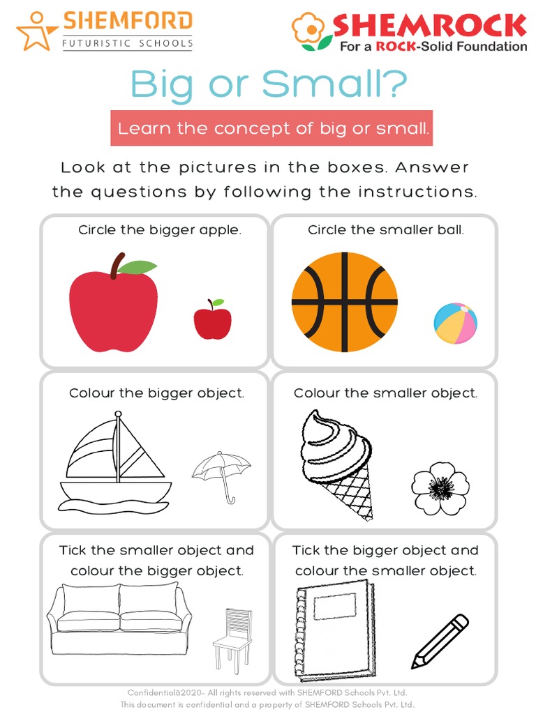 Understanding Relative Size: A Lesson on Comparing and Categorizing ...