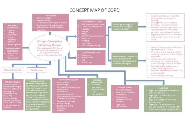 Chronic Obstructive Pulmonary Disease Chart