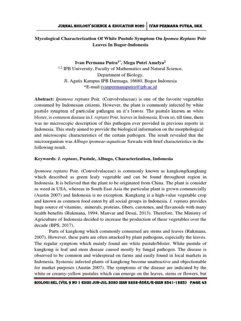 IPB University, Faculty of Mathematics and Natural Science | PDF ...