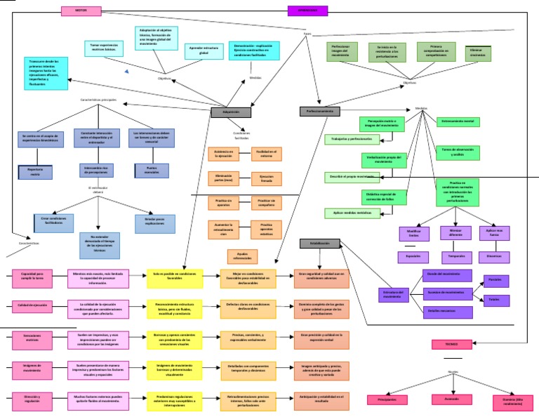 Mapa Conceptual Modulo 2 | PDF | Aprendizaje | Cognición