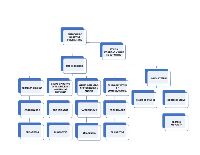 Esquema Brigada de Emergencia | PDF