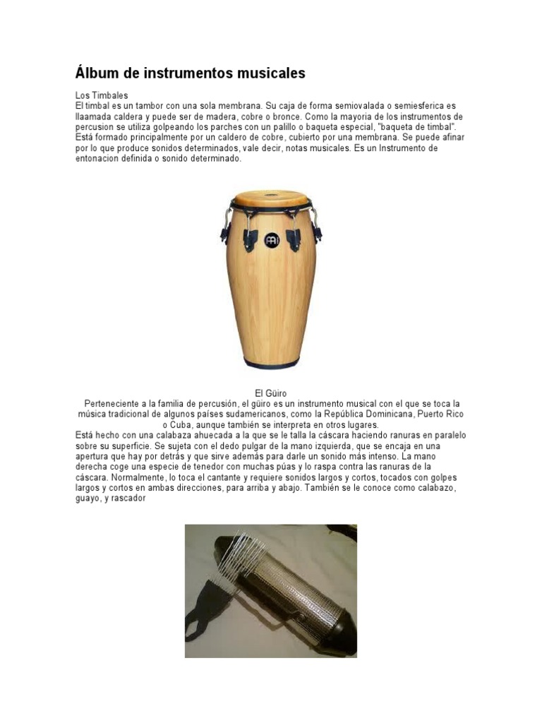 Álbum de Instrumentos Musicales | PDF | Guitarras | Piano