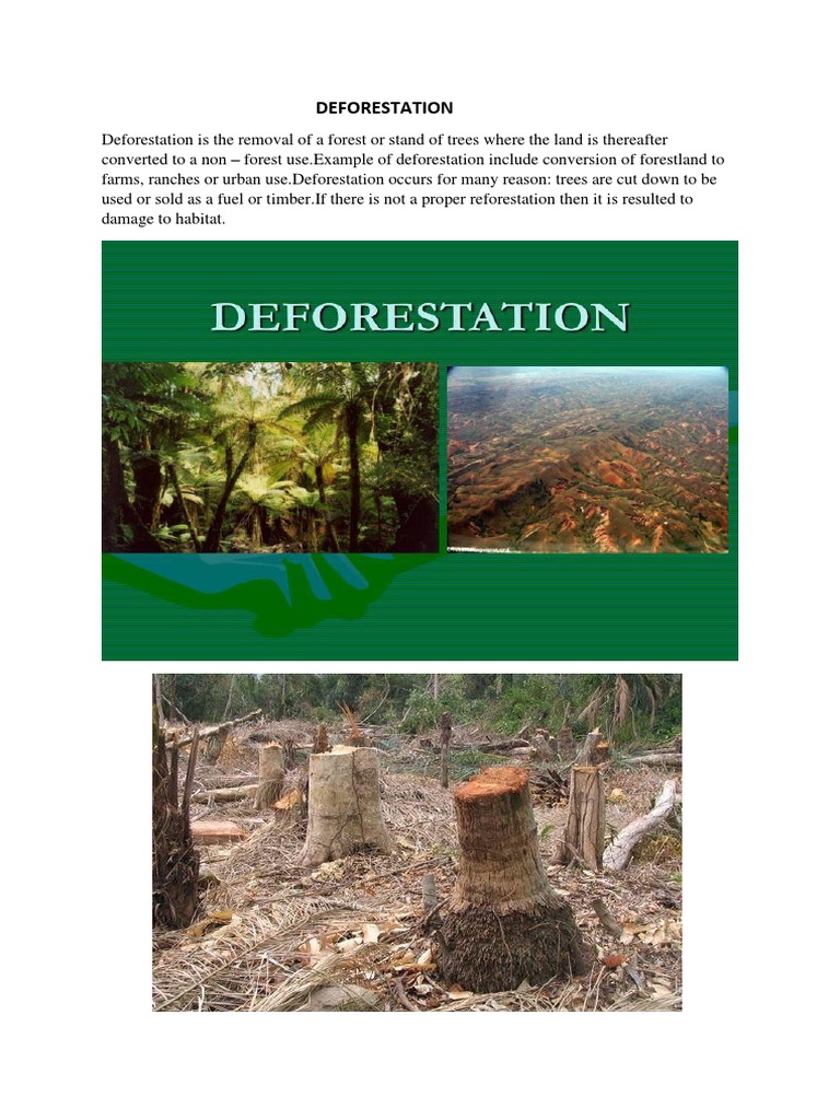 Assignment 2 PDF | PDF | Deforestation | Forests