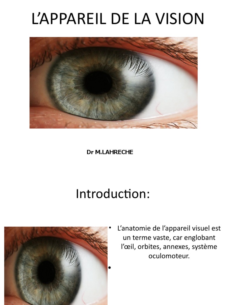 Appareil Vision Oeil | PDF | Cornée | Vision