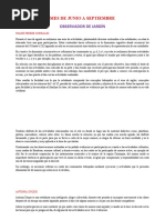 Modelo Boletin Literal D de 2do Grado | PDF | Sílaba