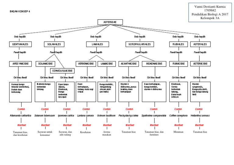Asteridae - Vanni Destianti Kurnia-1705682-A | PDF