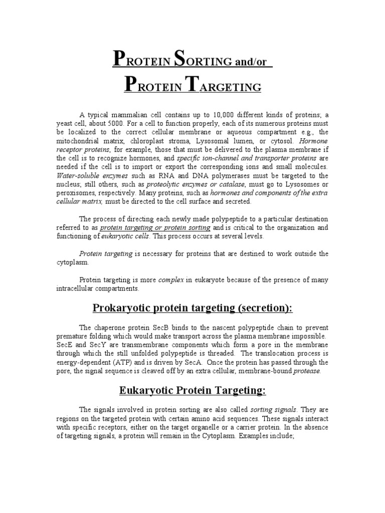 Without Pics Assignment Protein Sorting and Targeting | PDF | Protein ...