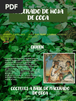 Sacha Culantro | PDF | Hierbas y especias | Alimentos