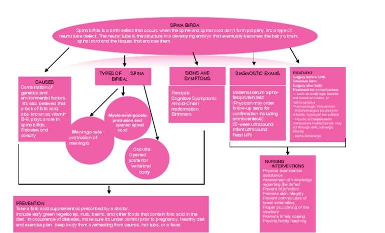 Spina Bifida Concept Map | PDF | Human Diseases And Disorders ...