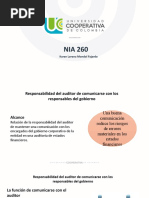 Mapa Mental Nia 260 | PDF | Auditoría | Business