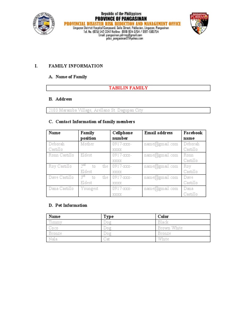 Family Preparedness Plan Template | PDF | Disasters | Natural Disasters