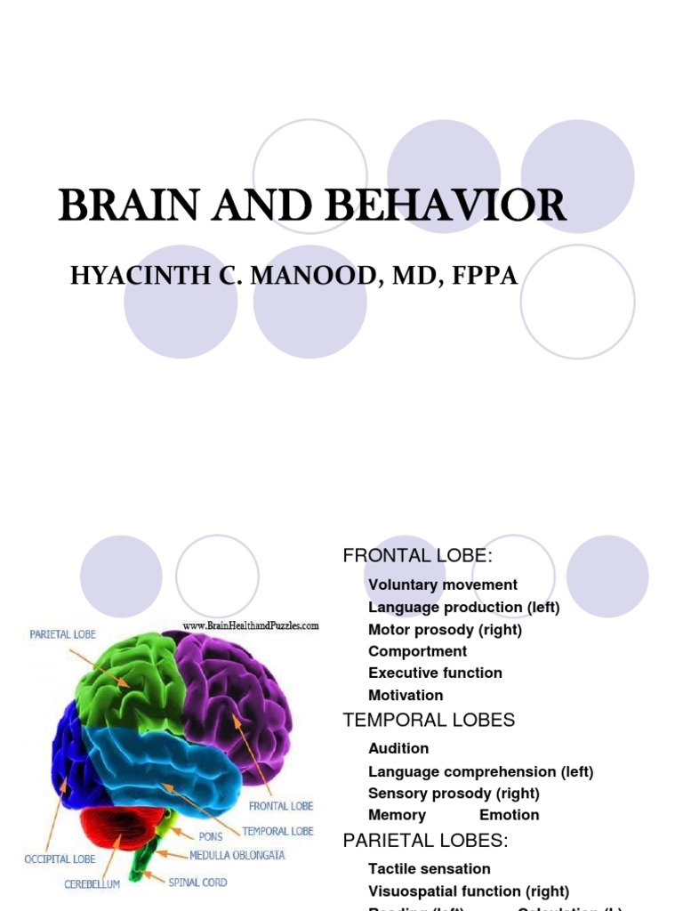 Brain and Behavior: Hyacinth C. Manood, MD, Fppa | PDF | Serotonin ...